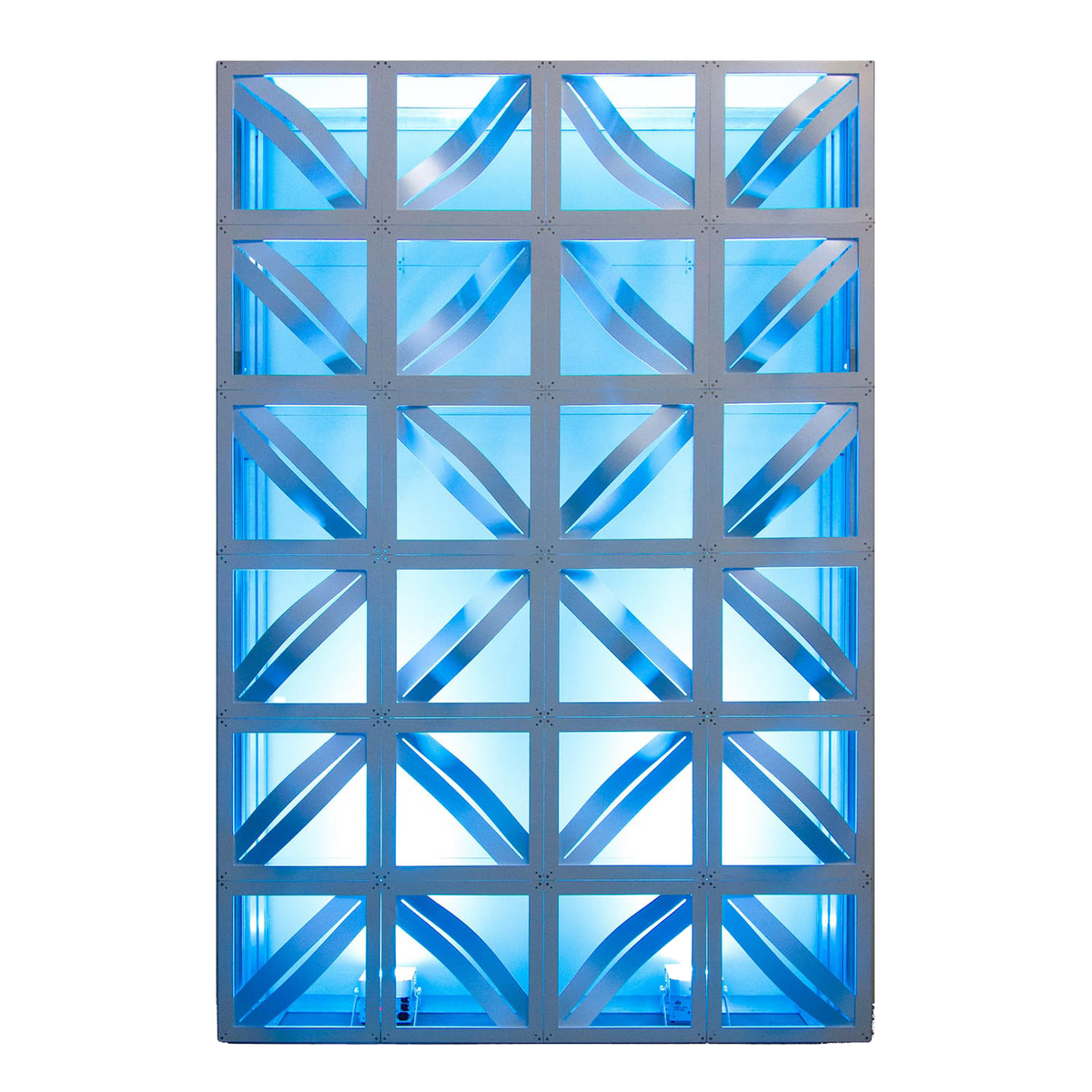 Petals Illuminated Wall | Quest Events